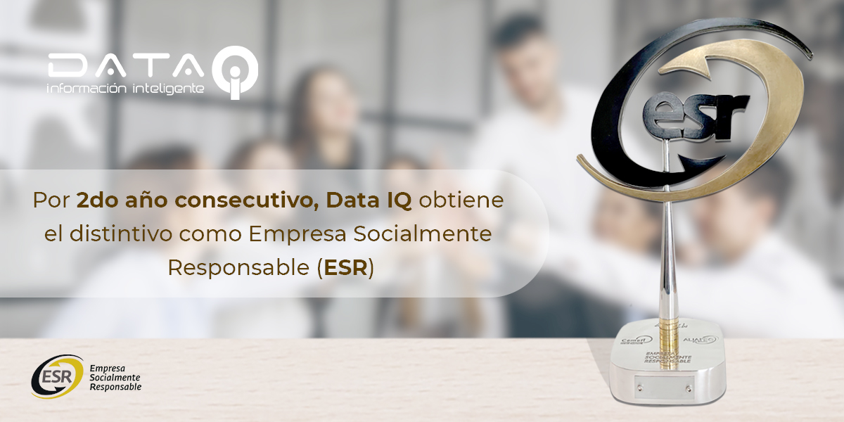 Data IQ - Dando sentido a tus datos